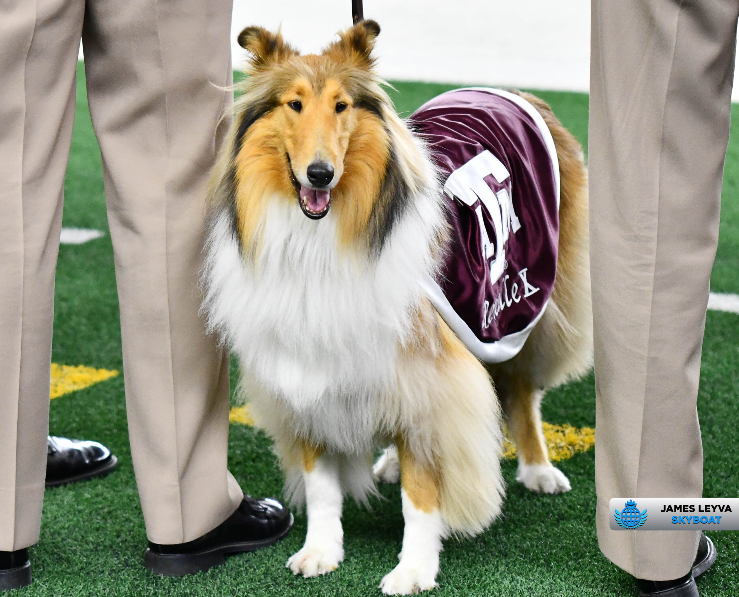 Arkansas Razorbacks vs Texas A&M Aggies - Gameday Gallery - SkyBoat